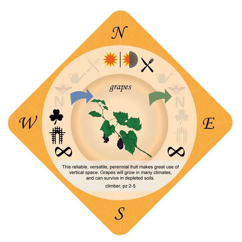 Food Forest Printable Cards (PDF), English Language Version, Northern ...