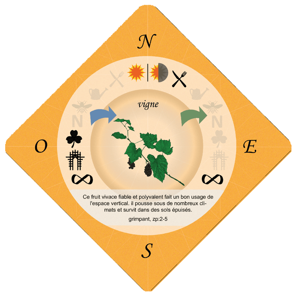 Food Forest Printable Cards, French Language Version (PDF) – Food ...